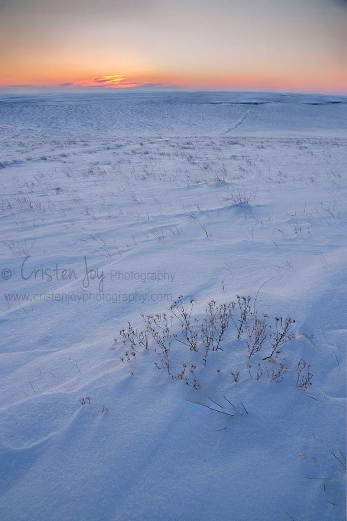 Snowy Landscape {Spring is Coming!} - Cristen Joy Photography