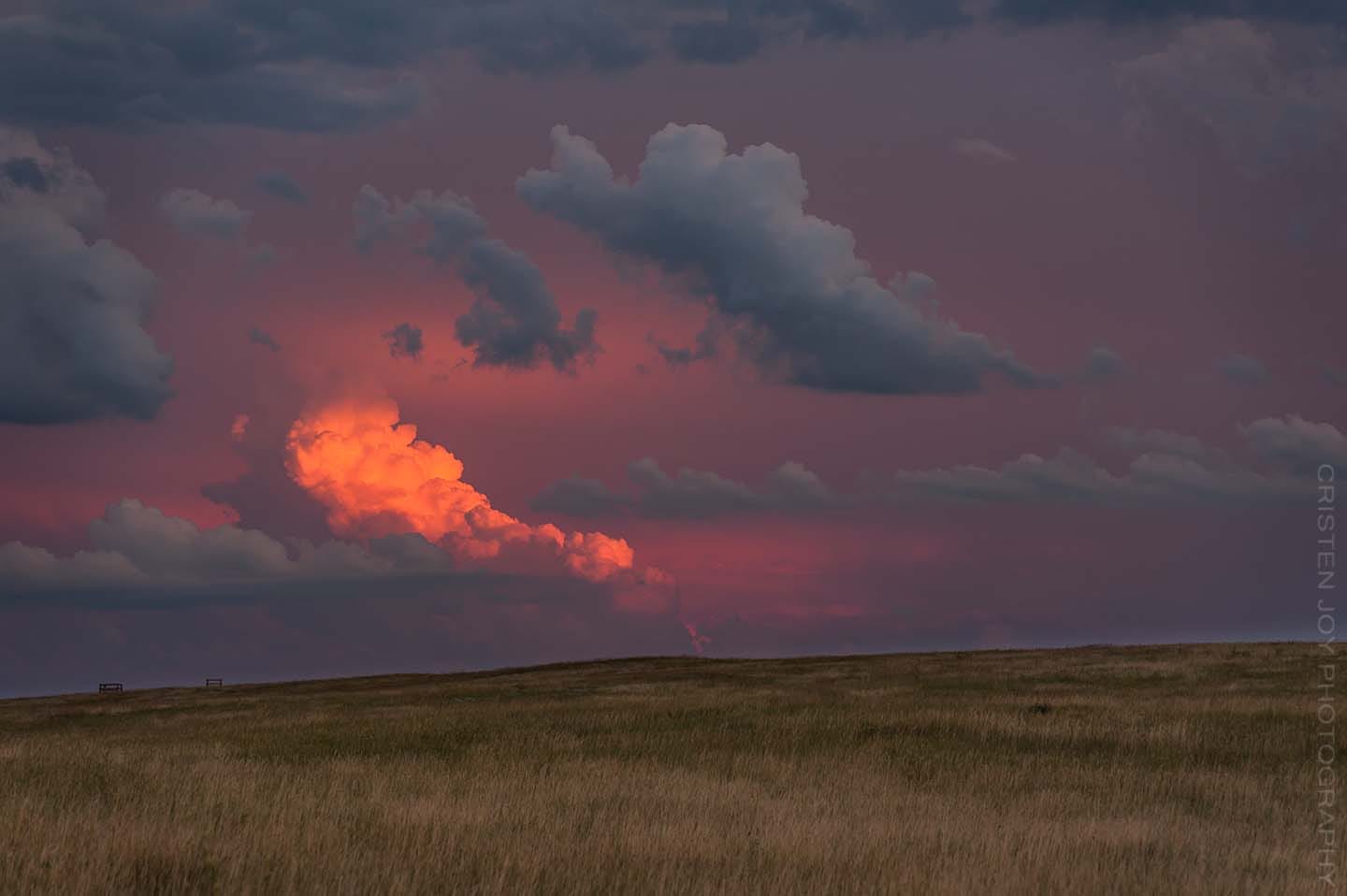 Sunset on the Prairie {Sky & Horses} - Cristen Joy Photography