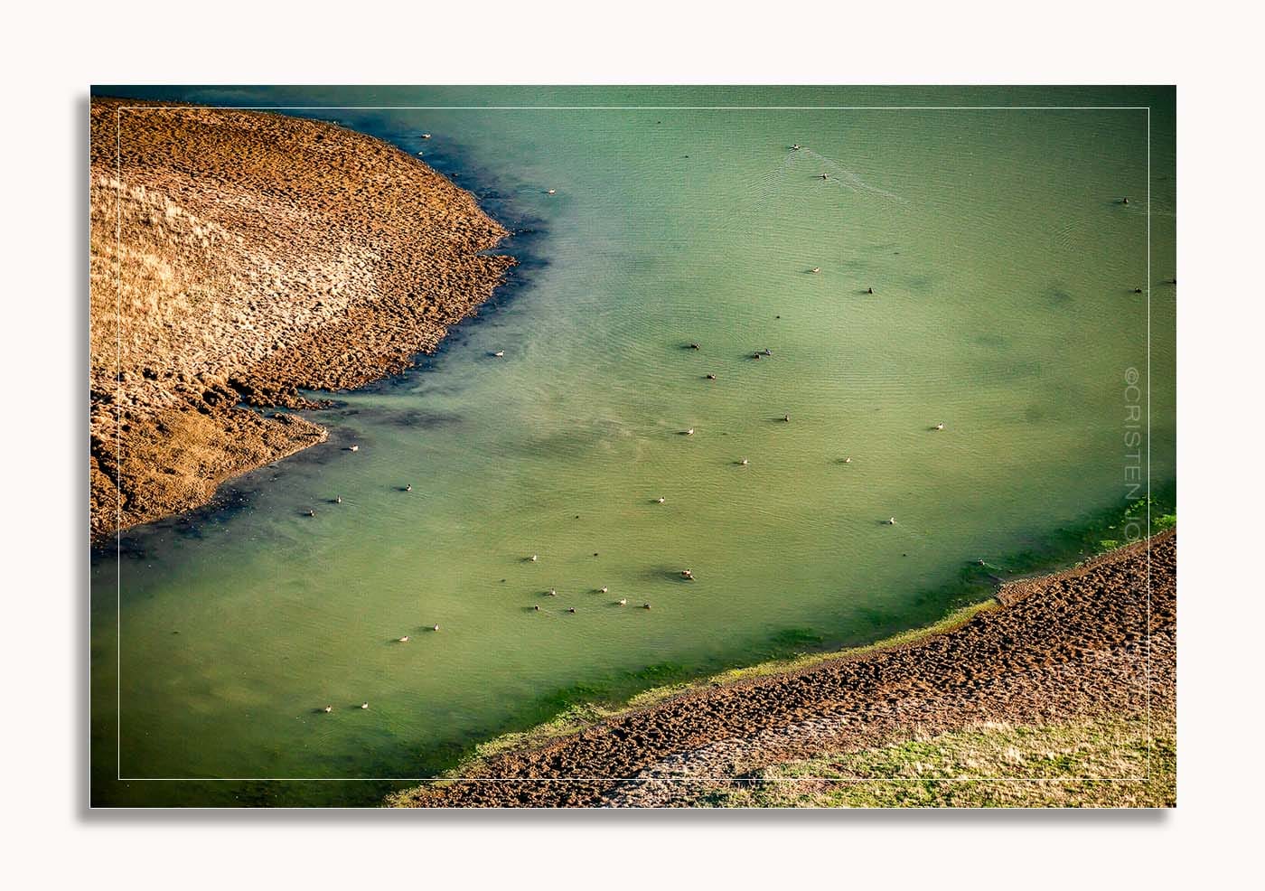 The Prairie in Spring - Cristen Joy Photography