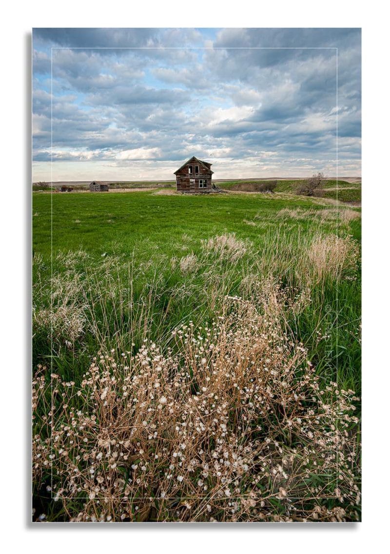 The Prairie in Spring - Cristen Joy Photography