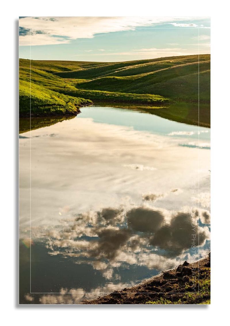 The Prairie in Spring - Cristen Joy Photography