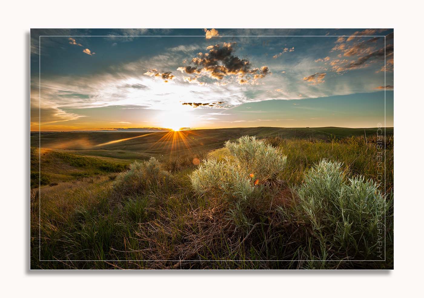 The Prairie in Spring - Cristen Joy Photography