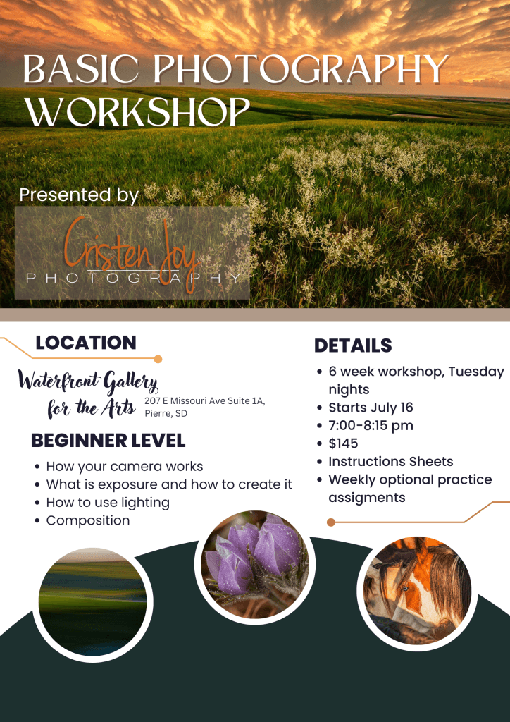 Photography Workshop - Cristen Joy Photography